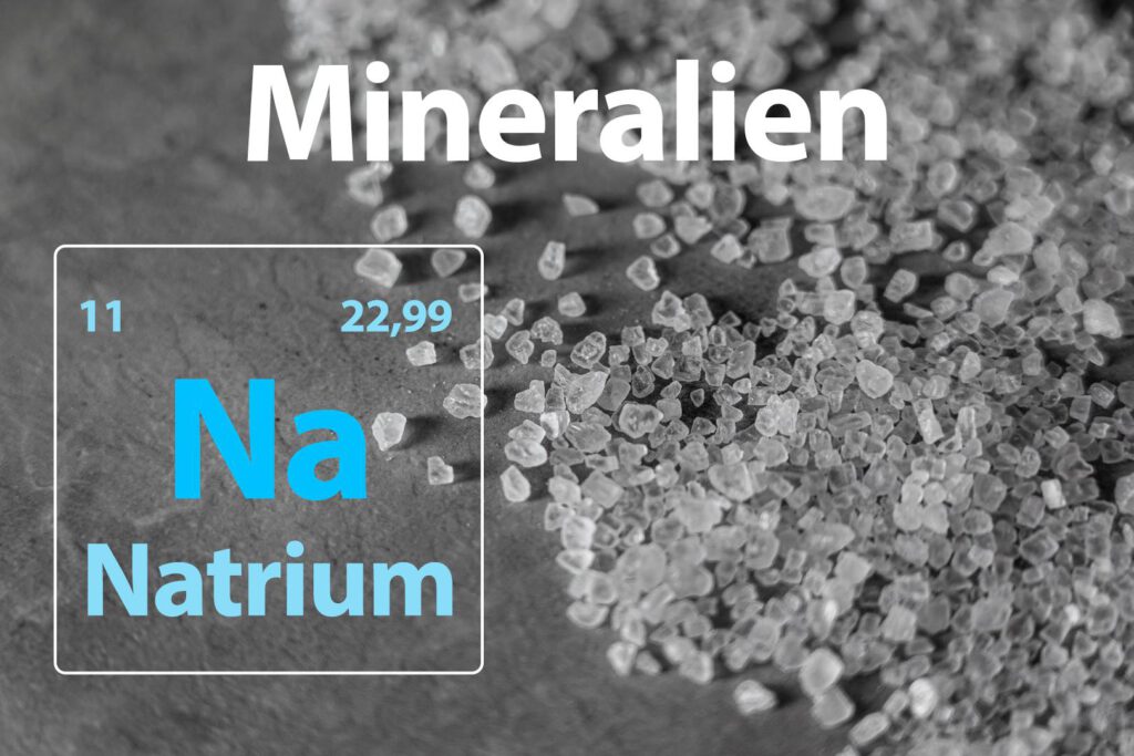 Natrium im Blut - Check Your Live